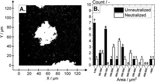 Imaging of the microstructure of Carbopol dispersions and correlation ...