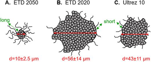 Imaging of the microstructure of Carbopol dispersions and correlation ...