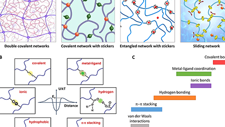How double dynamics affects the large deformation and fracture ...