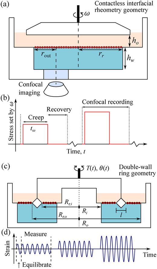 Contactless interfacial rheology: Probing shear at liquid–liquid ...