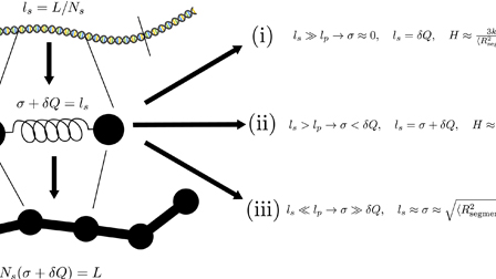 Dilute polymer solutions under shear flow: Comprehensive qualitative ...