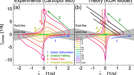 Understanding the transient large amplitude oscillatory shear behavior ...