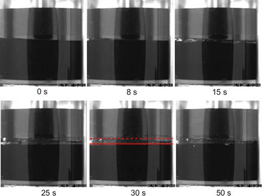 Perspective on edge fracture | Journal of Rheology | AIP Publishing