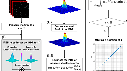 Particle Image micro-Rheology (PIR) using displacement probability ...
