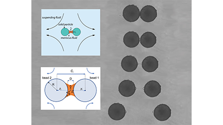 Dynamics of meniscus-bound particle clusters in extensional flow ...