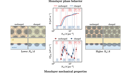Interfacial rheology of polyelectrolyte microgel monolayers ...