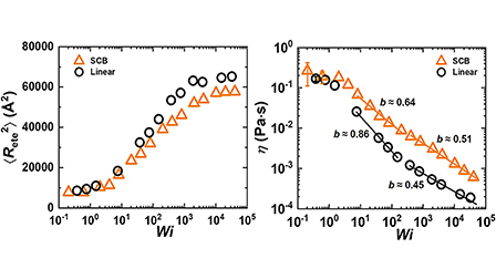Structural, topological, and rheological characteristics of entangled ...