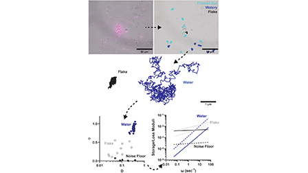 Experimental and statistical methods for microrheological ...