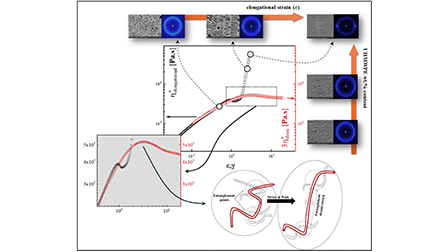 Nonlinear rheological behavior and flow-induced crystallization of low ...