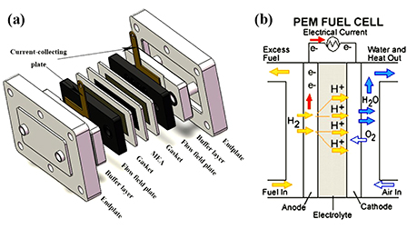 Flow field plate of polymer electrolyte membrane fuel cells: A review ...