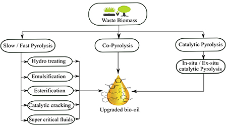 Research progress in the co-pyrolysis of renewable biomass with plastic ...