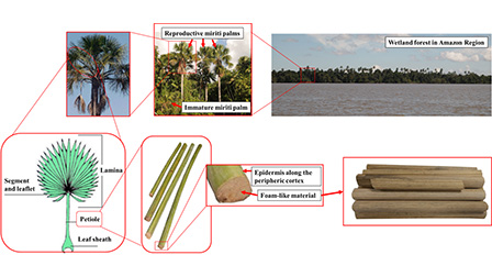 Volume 16 Issue 1 | Journal of Renewable and Sustainable Energy | AIP ...