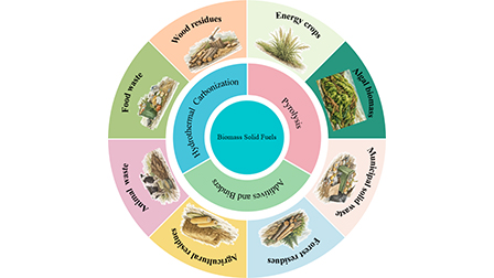 Sustainable biomass solid fuels: Feedstock sources, processing ...