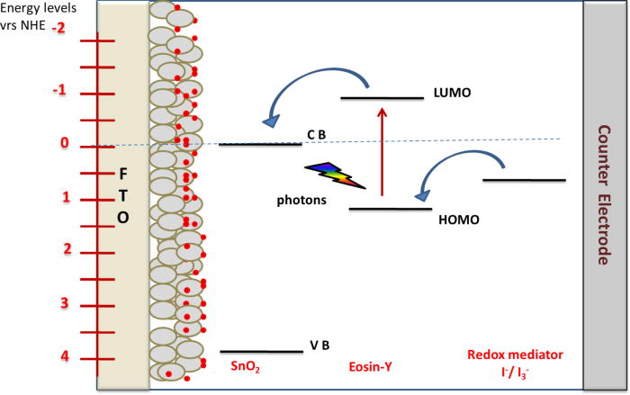 Eosin-Y sensitized tin oxide photoelectrode for dye sensitized solar ...
