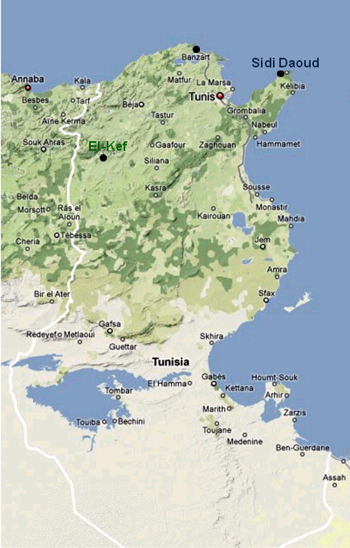 Development of a methodology for wind energy estimation and wind park ...
