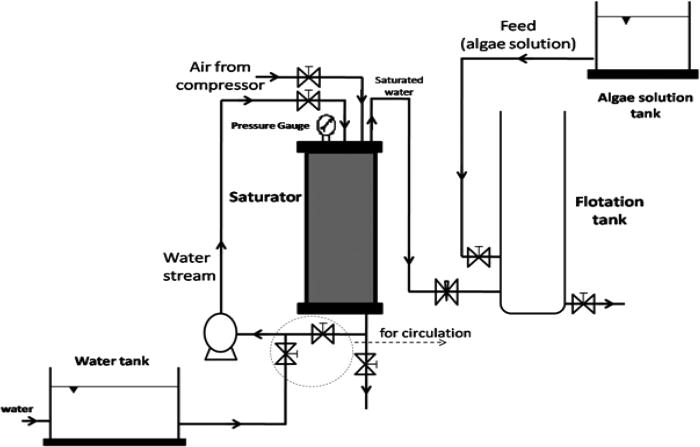 Optimization of dissolved air flotation technique in harvesting microalgae from treated ...