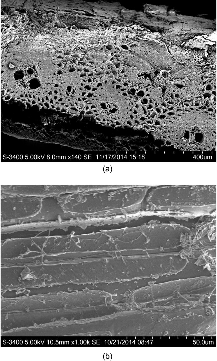 Pelletizing properties of corn stalk rind | Journal of Renewable and ...