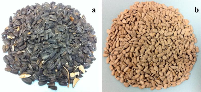 Development of hydrocarbon biofuel from sunflower seed and sunflower ...