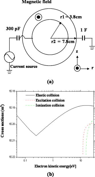Electron and ion kinetics in magnetized capacitively coupled plasma ...