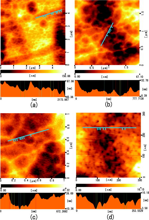 Conducting polymer nanofilm growth on a nanoscale linked-crater pattern ...