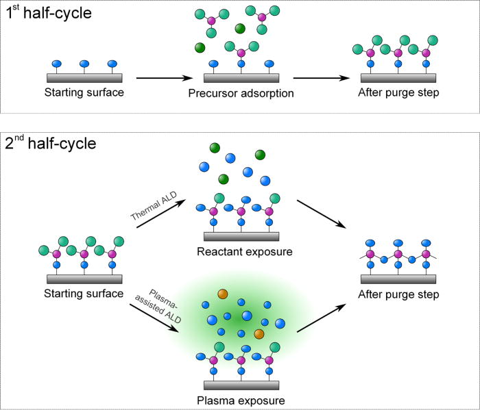 Plasma-Assisted Atomic Layer Deposition: Basics, Opportunities, and ...