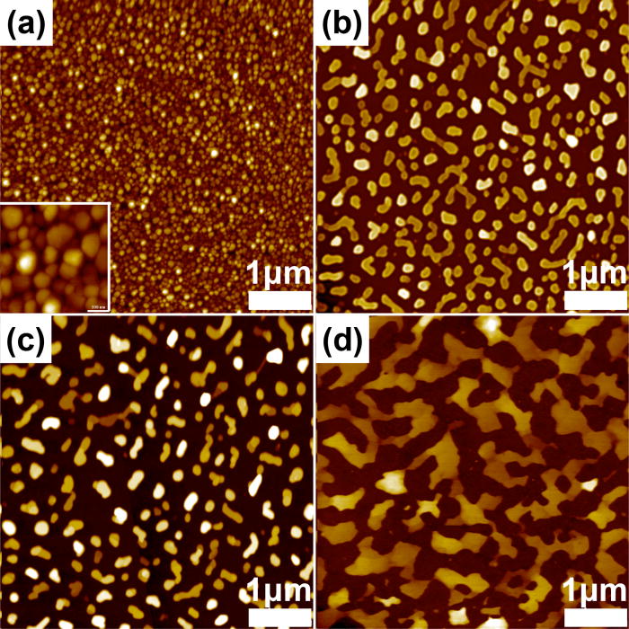 Atomic force microscopy and x-ray diffraction studies on agglomeration ...