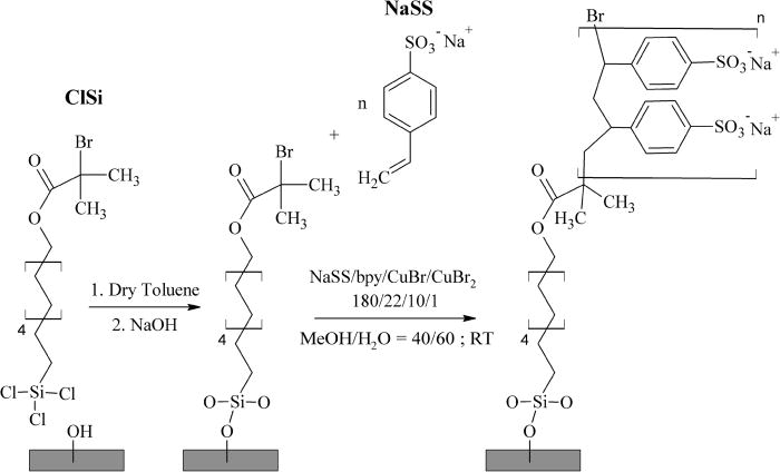 Surface initiated atom transfer radical polymerization grafting of ...