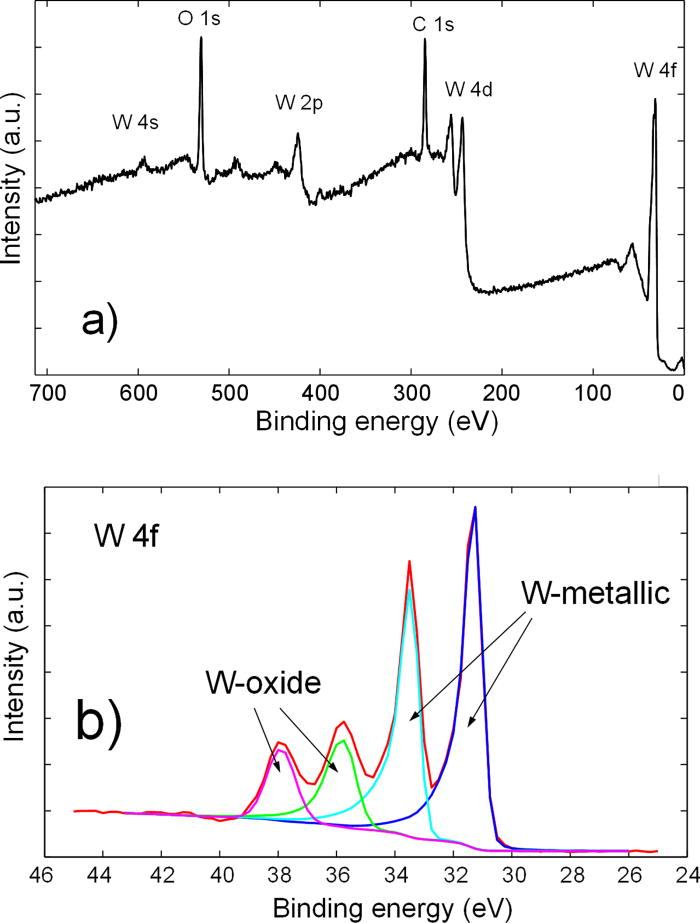 Characterization of tungsten films and their hydrogen permeability ...