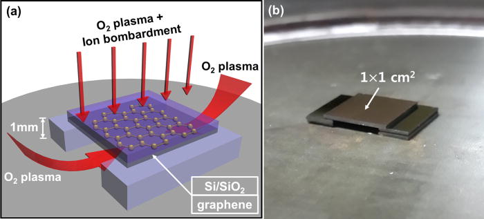 Precise control of defects in graphene using oxygen plasma | Journal of ...