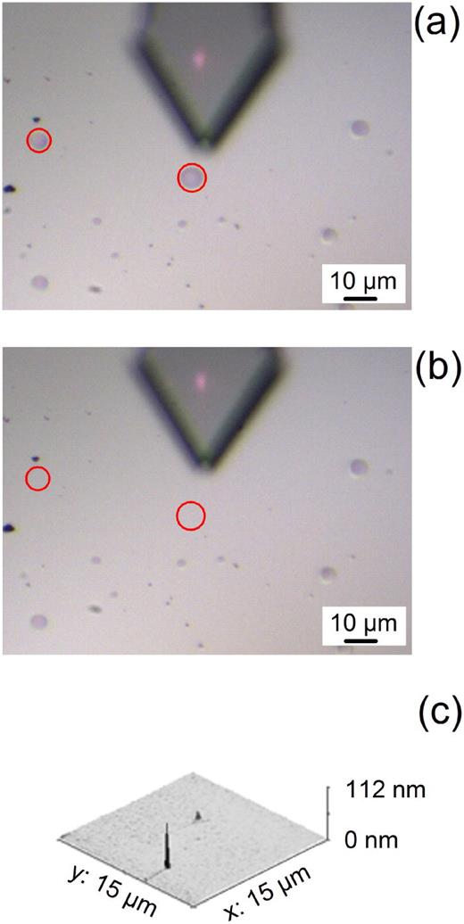 Blistering during the atomic layer deposition of iridium | Journal of ...