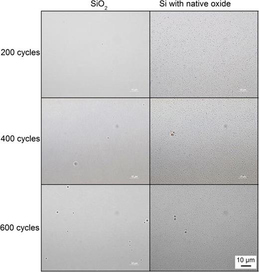 Blistering during the atomic layer deposition of iridium | Journal of ...