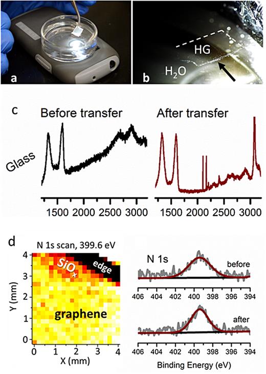 Review Article: Hydrogenated graphene: A user’s guide | Journal of ...