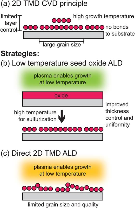 Status and prospects of plasma-assisted atomic layer deposition ...