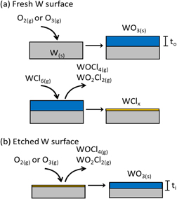 Thermal atomic layer etching of metallic tungsten via oxidation and ...