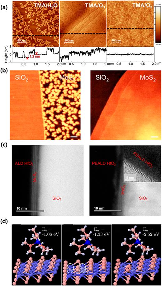 Atomic layer deposition of a uniform thin film on two-dimensional ...