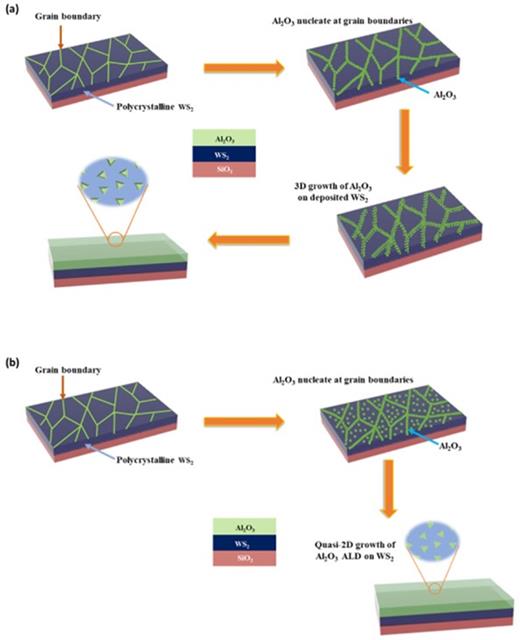 Nucleation and growth mechanism for atomic layer deposition of Al2O3 on ...