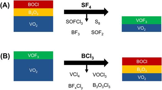 Thermal atomic layer etching of VO2 using sequential BCl3 and SF4 exposures: Observation of ...