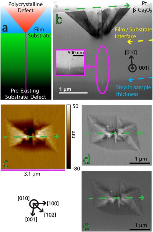 Sympetalous defects in metalorganic vapor phase epitaxy (MOVPE)-grown ...