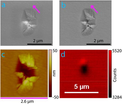 Sympetalous defects in metalorganic vapor phase epitaxy (MOVPE)-grown ...