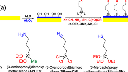 Vapor-phase grafting of functional silanes on atomic layer deposited ...