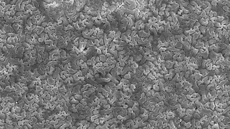 Optical, surface, and structural studies of InN thin films grown on sapphire by molecular beam ...