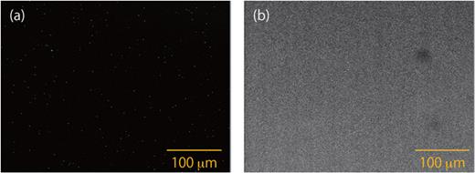 Apparatus design of operando hydrogen microscope for visualization of ...