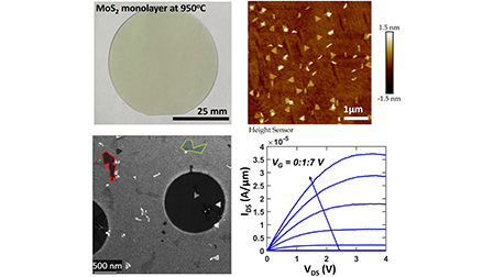 Effect of growth temperature on the microstructure and properties of epitaxial MoS2 monolayers ...