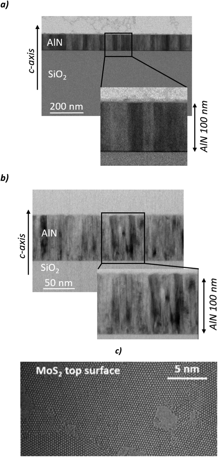 Erratum: “MoS2-assisted growth of highly-oriented AlN thin films by low ...