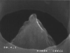 Electron optics and electrical studies of a single Spindt-type field ...