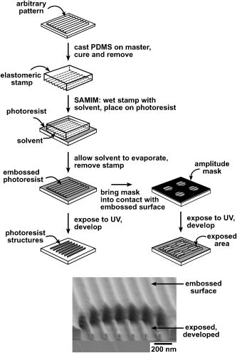 Imaging patterns of intensity in topographically directed ...