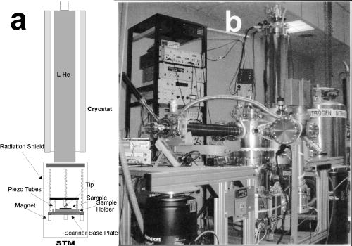 Scanning tunneling microscopy single atom/molecule manipulation and its ...