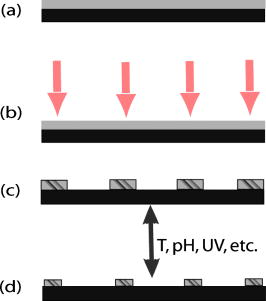 Direct-write e-beam patterning of stimuli-responsive hydrogel ...