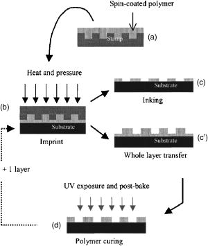 Three-dimensional polymer structures fabricated by reversal ultraviolet ...