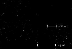 Catalyst patterning for carbon nanotube growth on elevating posts by ...